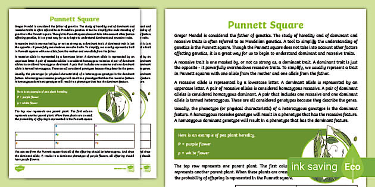 Punnett Square Practice Worksheet & Answers - Life Science