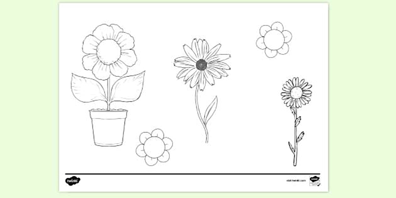 Flowers Colouring | Colouring Sheets (teacher made) - Twinkl