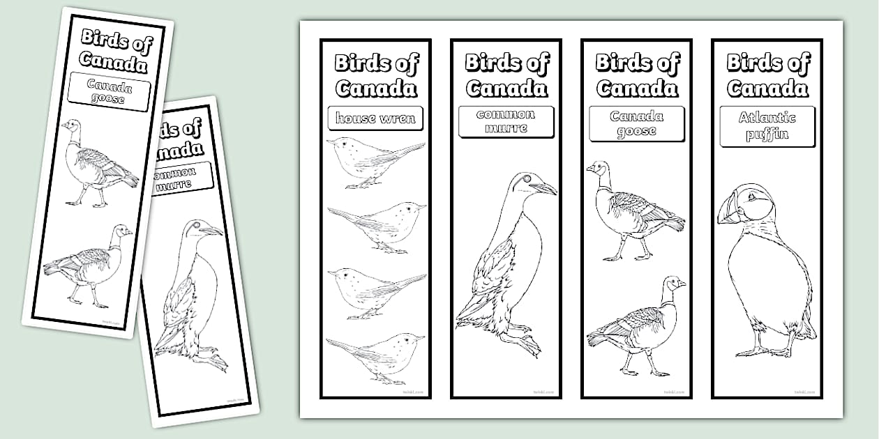 Canadian Birds Colouring Bookmarks (teacher made) - Twinkl