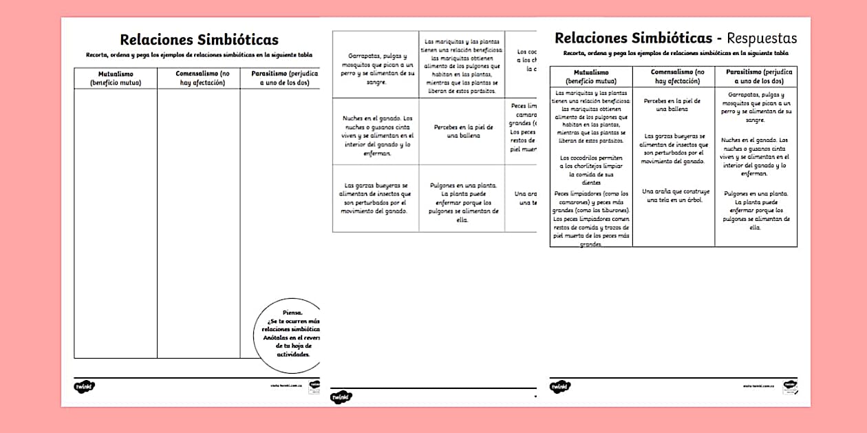 Guía de Ciencias - Relaciones simbiótica - Twinkl Colombia