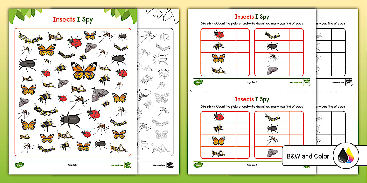Insects I Spy Worksheet (teacher made) - Twinkl