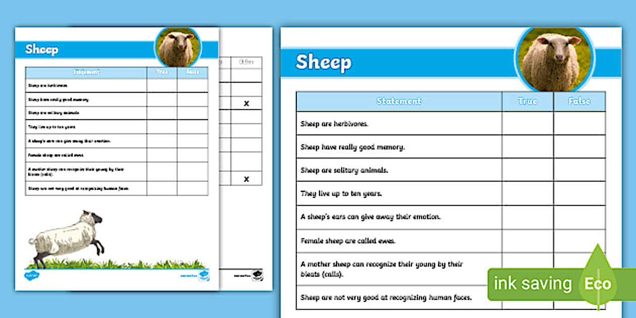 Sheep True or False Activity - Grades 4-6 - Twinkl Canada