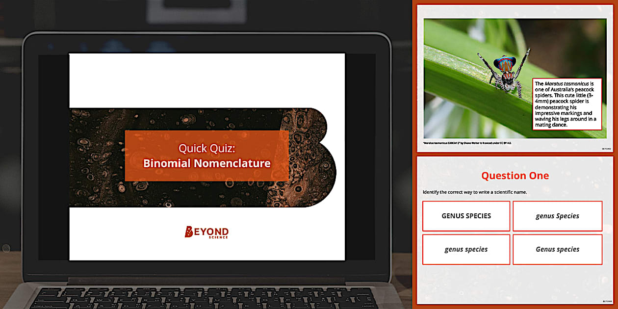 Binomial Nomenclature Quick Quiz (teacher made) - Twinkl