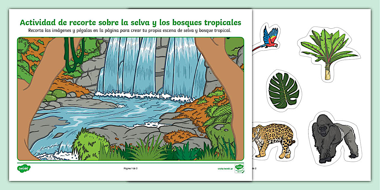 Recorte sobre la selva y los bosques tropicales - Twinkl