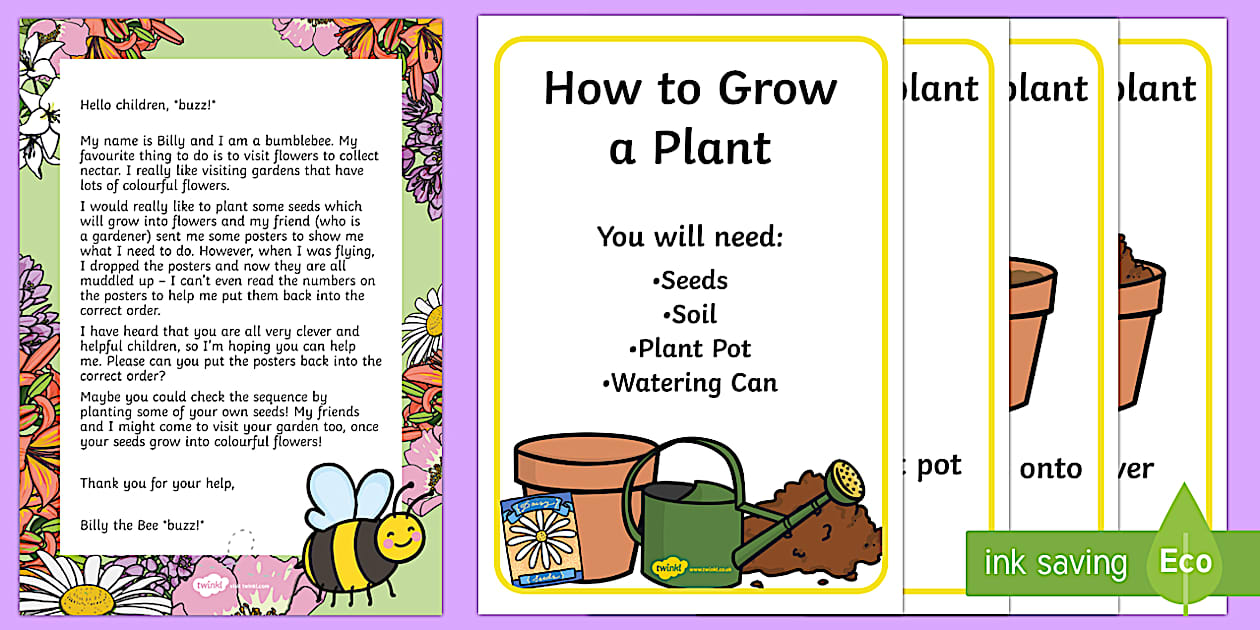 Planting a Flower Sequencing Activity | Plants | Twinkl
