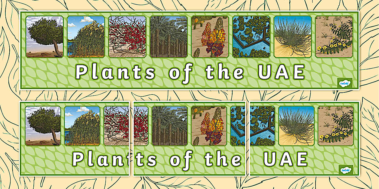 UAE Plants - Display Banner (teacher made) - Twinkl