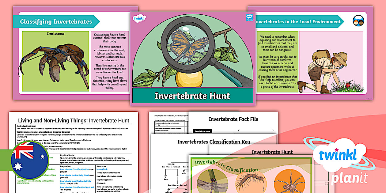 Year 3 Science Living and Non-Living Things Invertebrate L4