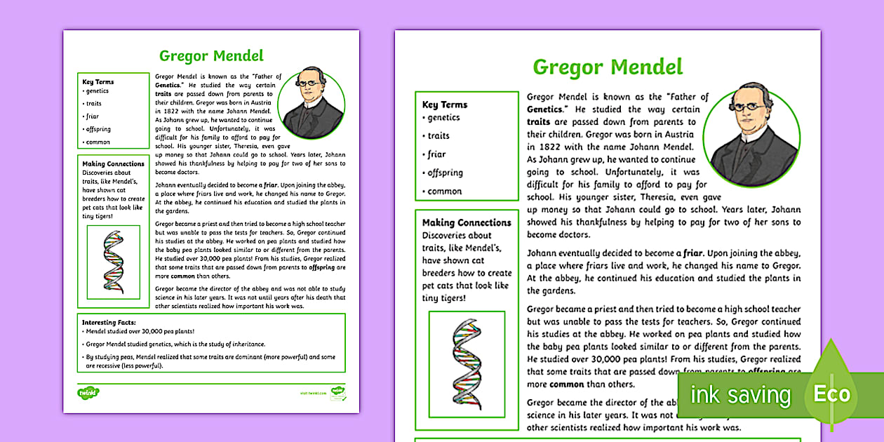 Fifth Grade Gregor Mendel Fact File - Twinkl