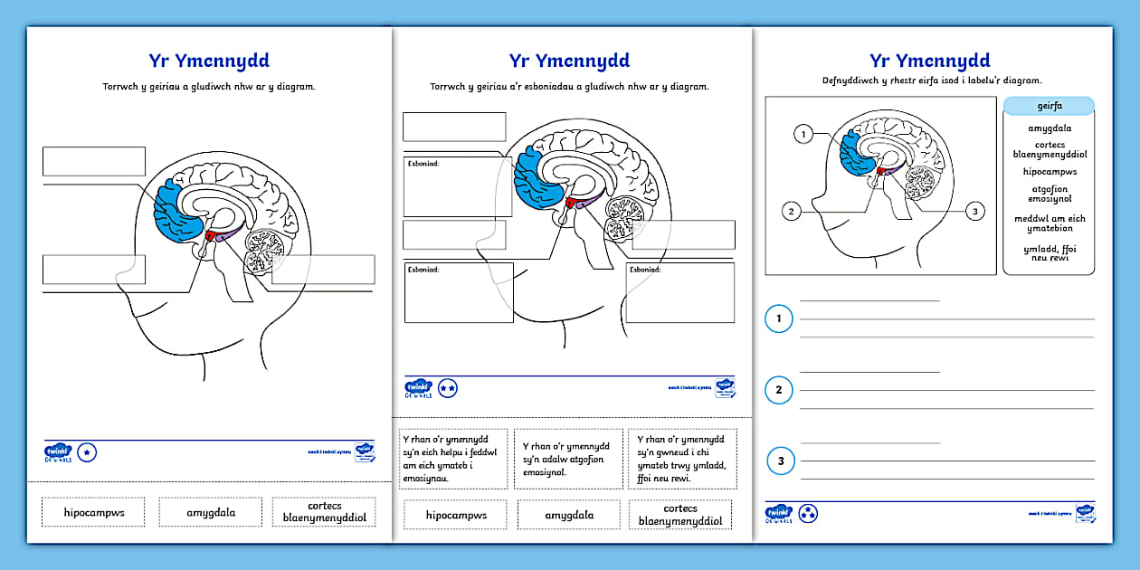Fy Emosiynau Newidiol: Labelu'r Ymennydd