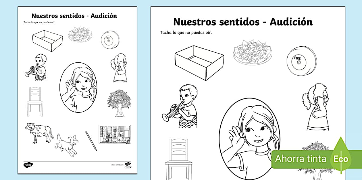 Ficha de actividad: Nuestros sentidos - oído | Twinkl