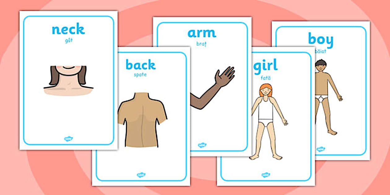 👉 Parts of the Body Display Posters Romanian Translation - romanian