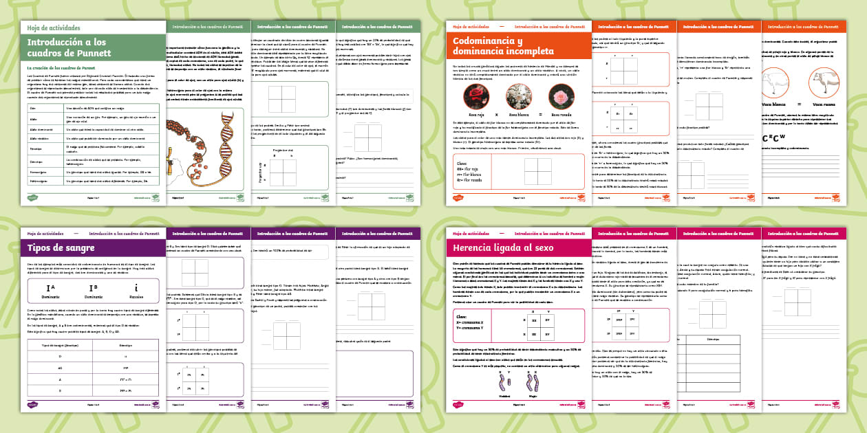 Paquete de actividades: cuadros de Punnett - Twinkl Colombia