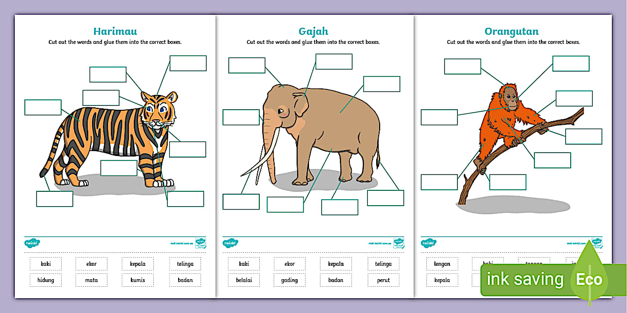 Indonesian Animals Body Parts Labelling Activity