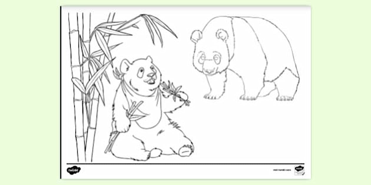 Panda Colouring | Colouring Sheets to Print - Twinkl