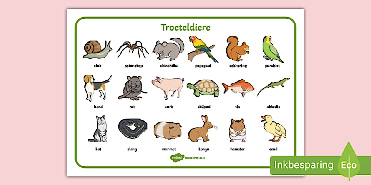 Troeteldiere Woordmat - Twinkl