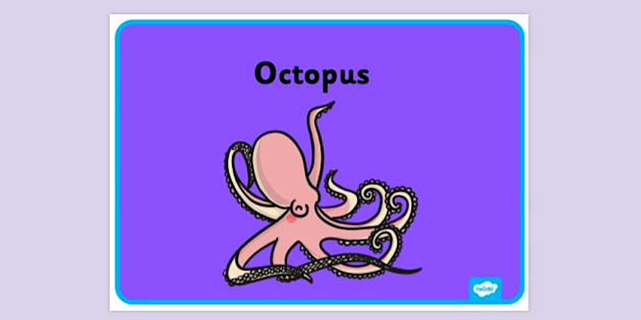 Printable Octopus Poster | Display Poster | Primary Resource