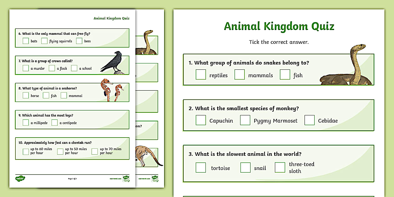 Questions on Animal Kingdom Quiz (Teacher-Made) - Twinkl