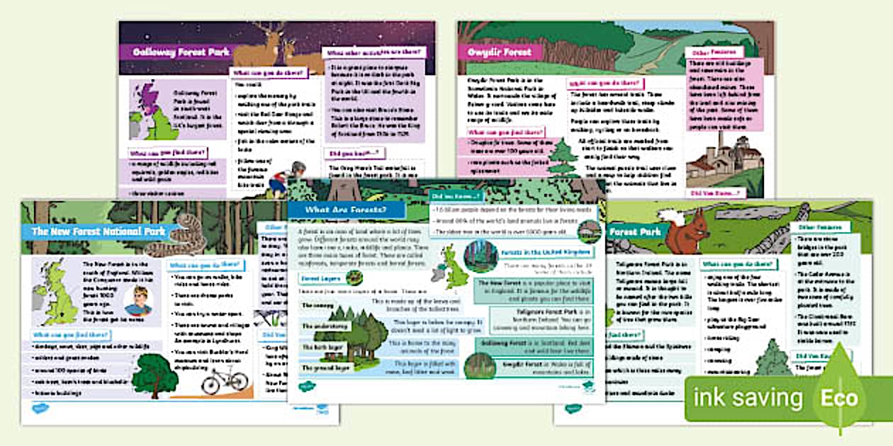 Forests Fact File Pack - KS1 - Geography (teacher made)