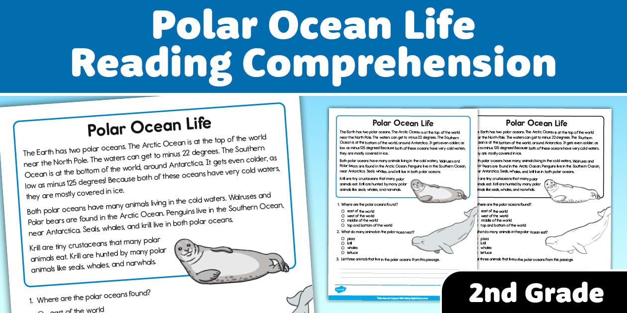Second Grade Polar Ocean Life Reading Passage Comprehension