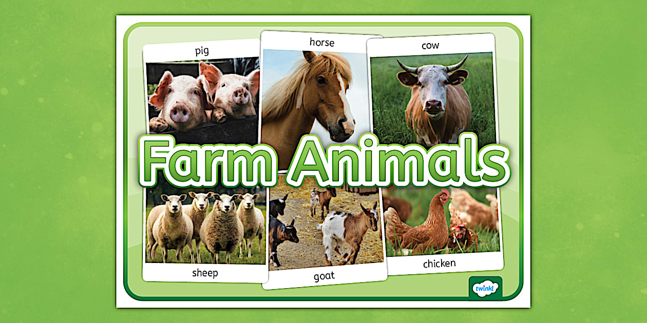 Farm Animals Photo Display Poster (Teacher-Made) - Twinkl