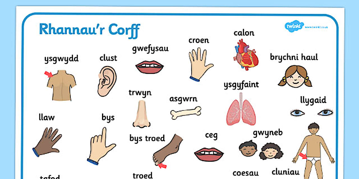 My Body Word Mat Cymraeg (teacher made) - Twinkl