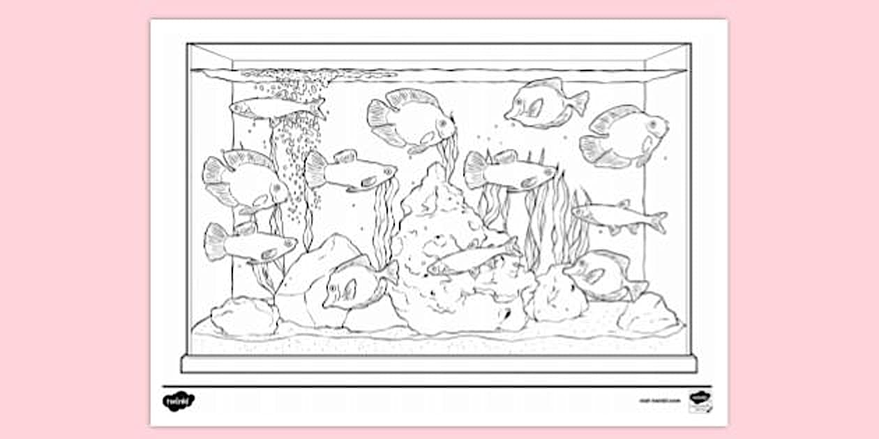 Fish Tank Colouring | Colouring Sheets - Twinkl