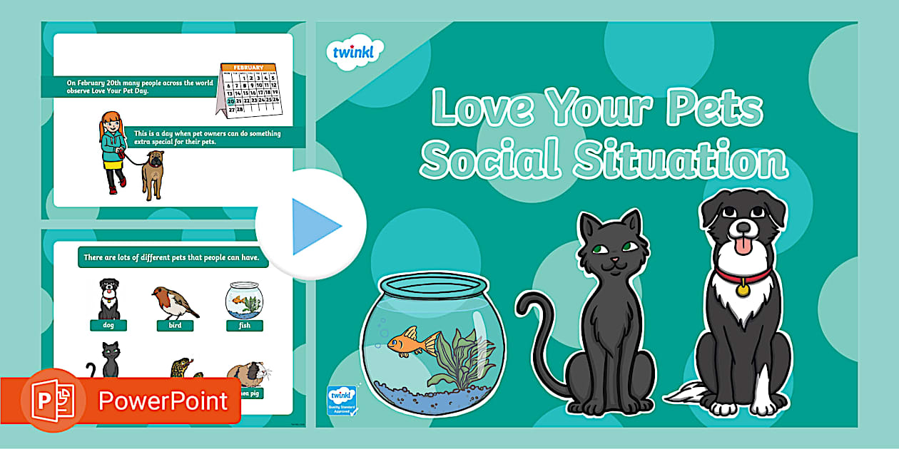 Love Your Pets Day Social Situation (teacher made) - Twinkl