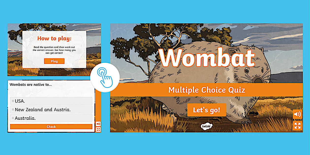 Wombat Multiple-Choice Quiz - Twinkl