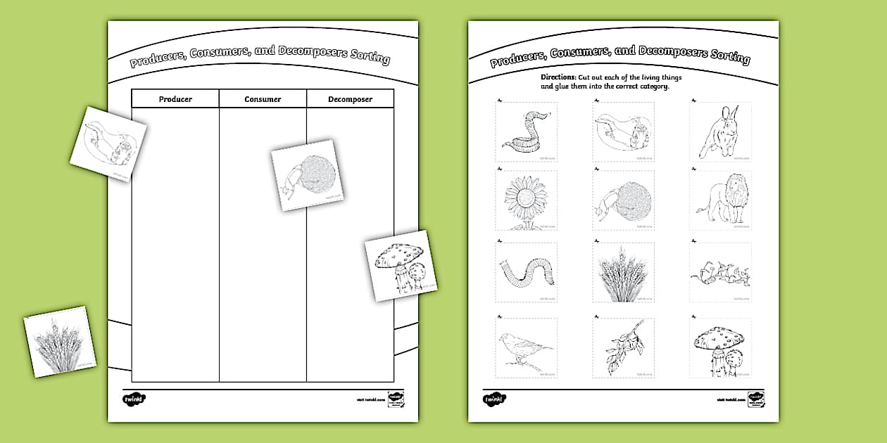 Producers Consumers and Decomposers Worksheet | Twinkl USA