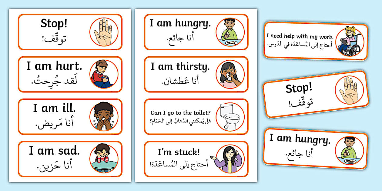 EAL Survival Word Cards English/Arabic (teacher made)