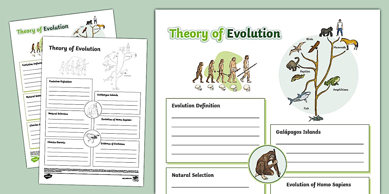 Theory of Evolution Fact File Template (teacher made)