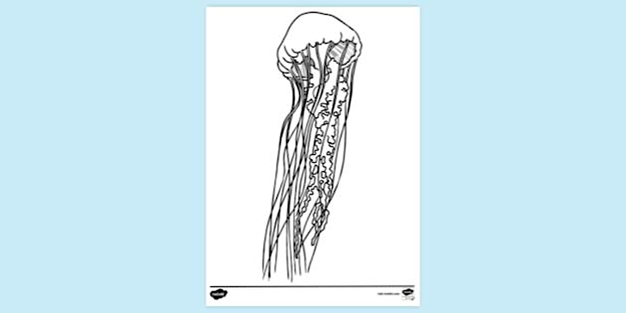 Hydrostatic Skeleton Jellyfish - Colouring Sheet - Twinkl