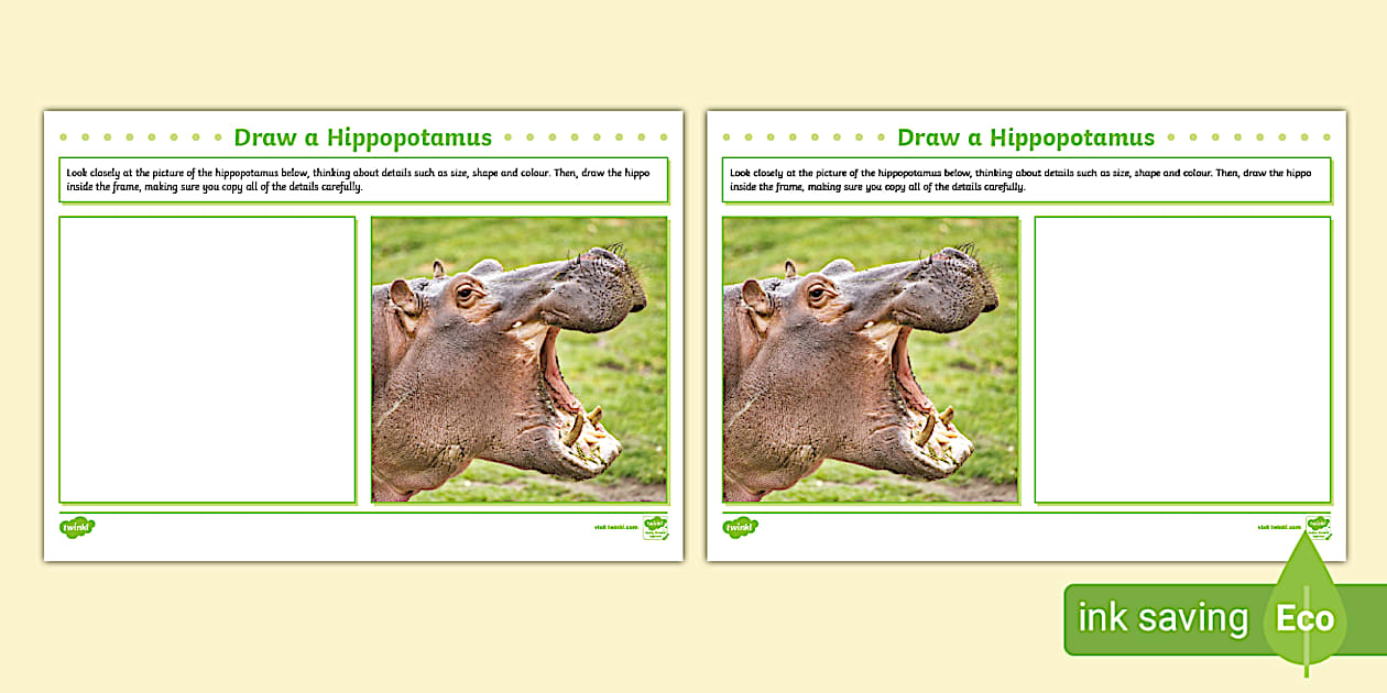 Draw a Hippopotamus Art Activity (teacher made) - Twinkl