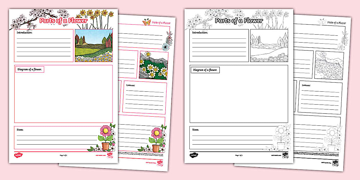 Parts of a Flower Non-Chronological Report Template - Twinkl