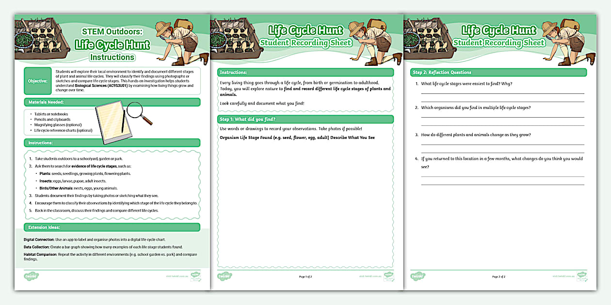 STEM Outdoors: Life Cycle Hunt (Teacher-Made) - Twinkl