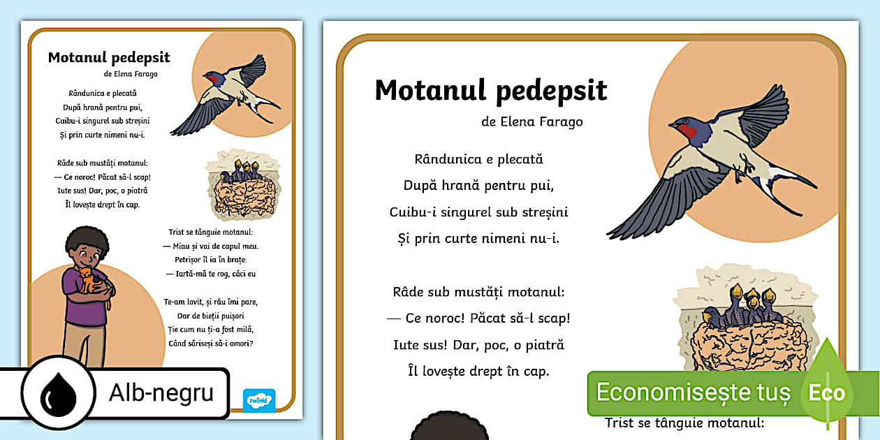 Motanul pedepsit de Elena Farago – Planșă (teacher made)