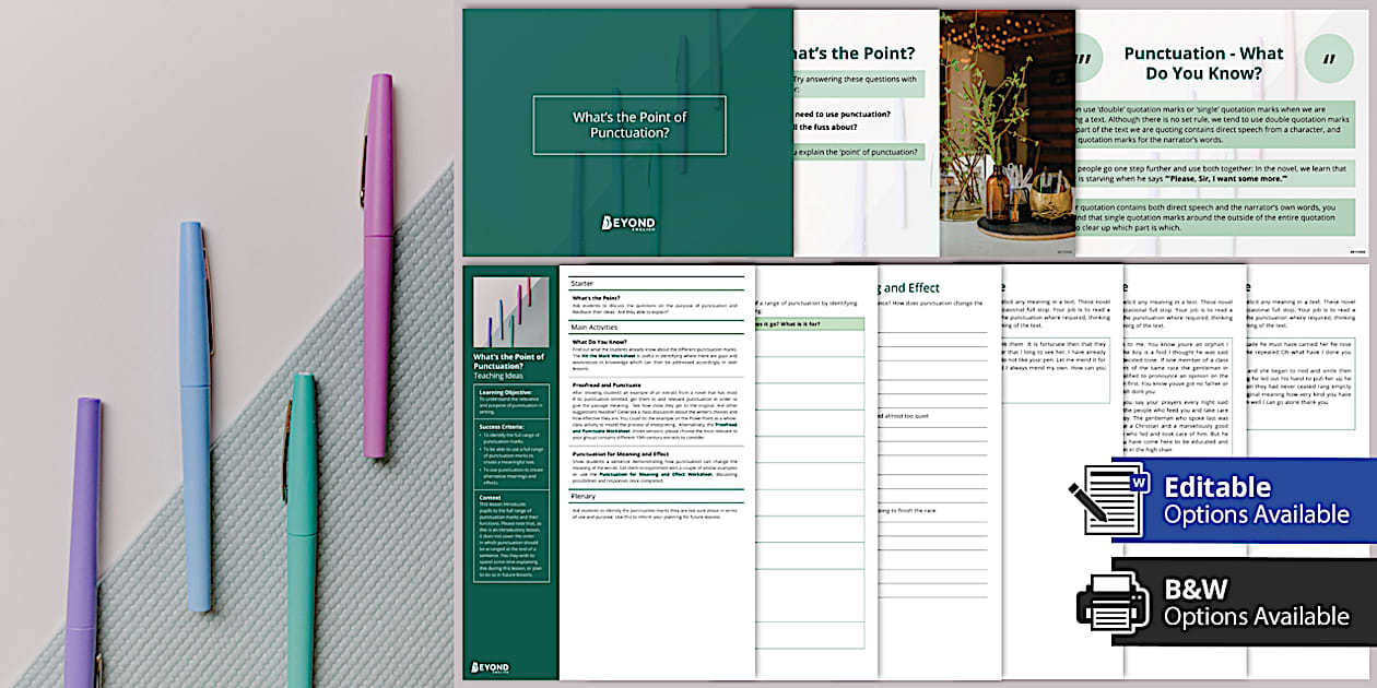 What’s the Point of Punctuation? (teacher made) - Twinkl