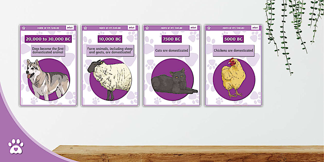 Month of Pets Timeline Posters (teacher made) - Twinkl
