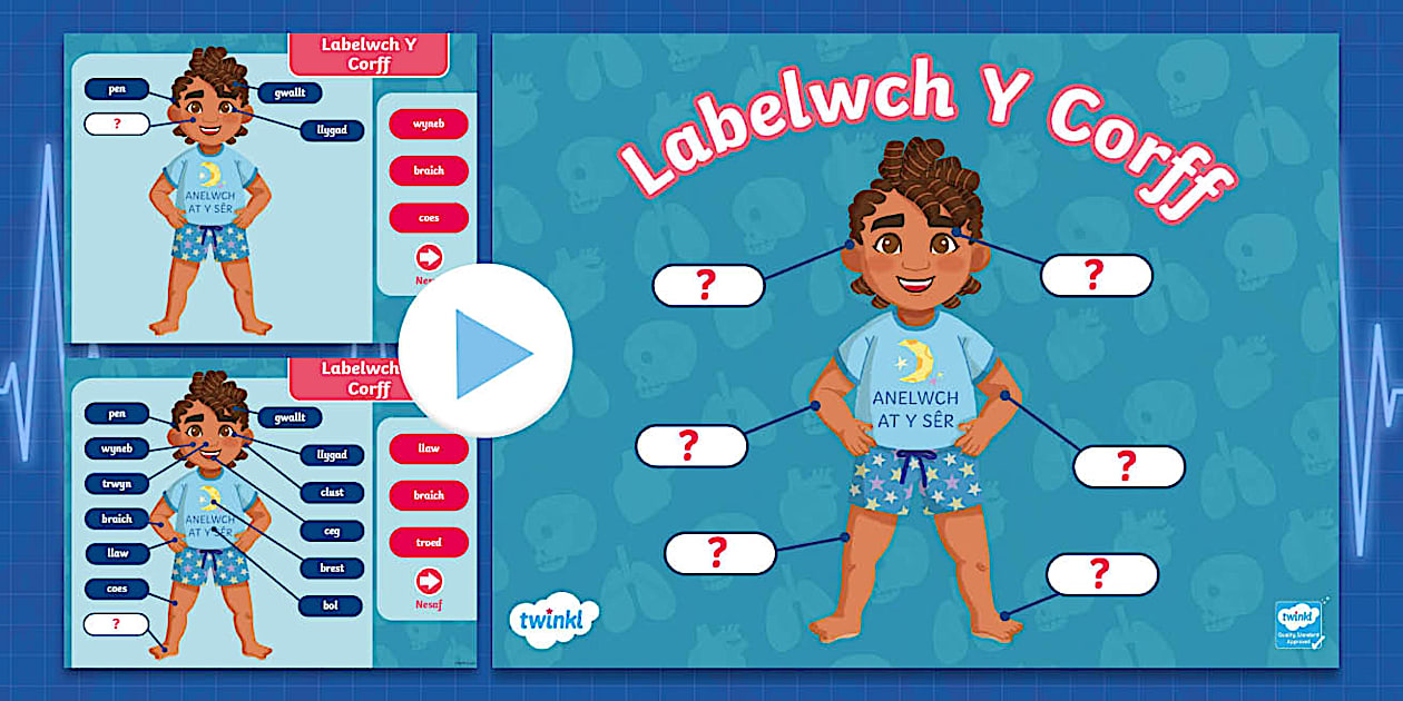 Y Corff: Gêm Pwêrbwynt Labelu'r Corff (teacher made)