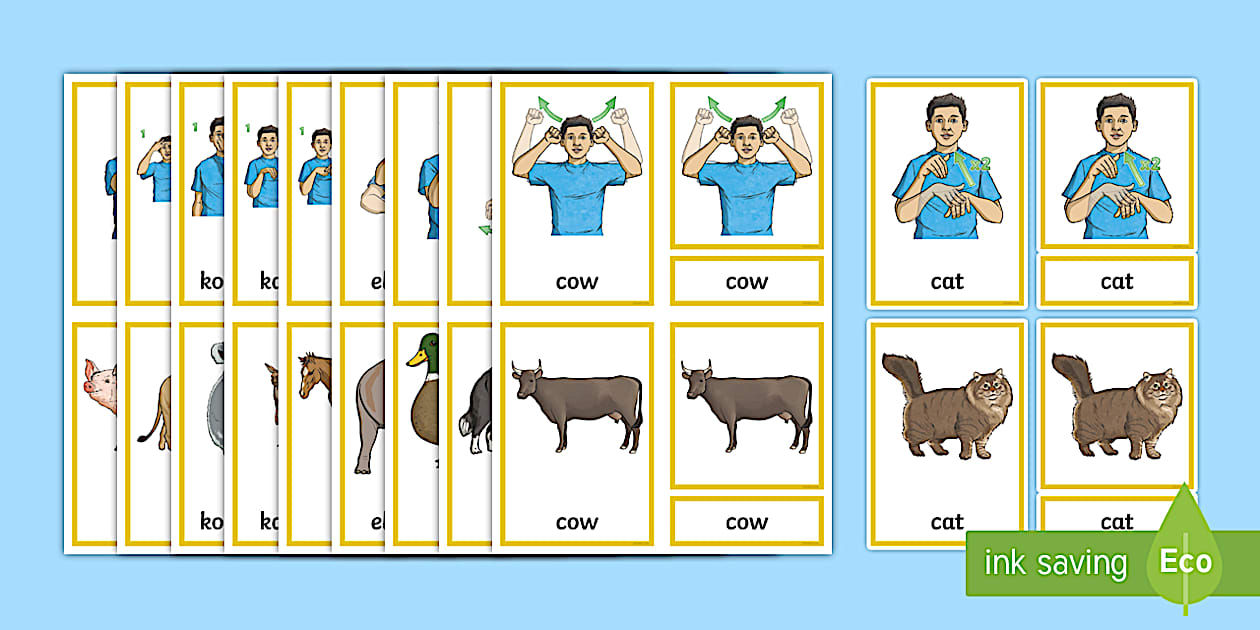 Auslan Animals Three Part Cards - English (Australian)