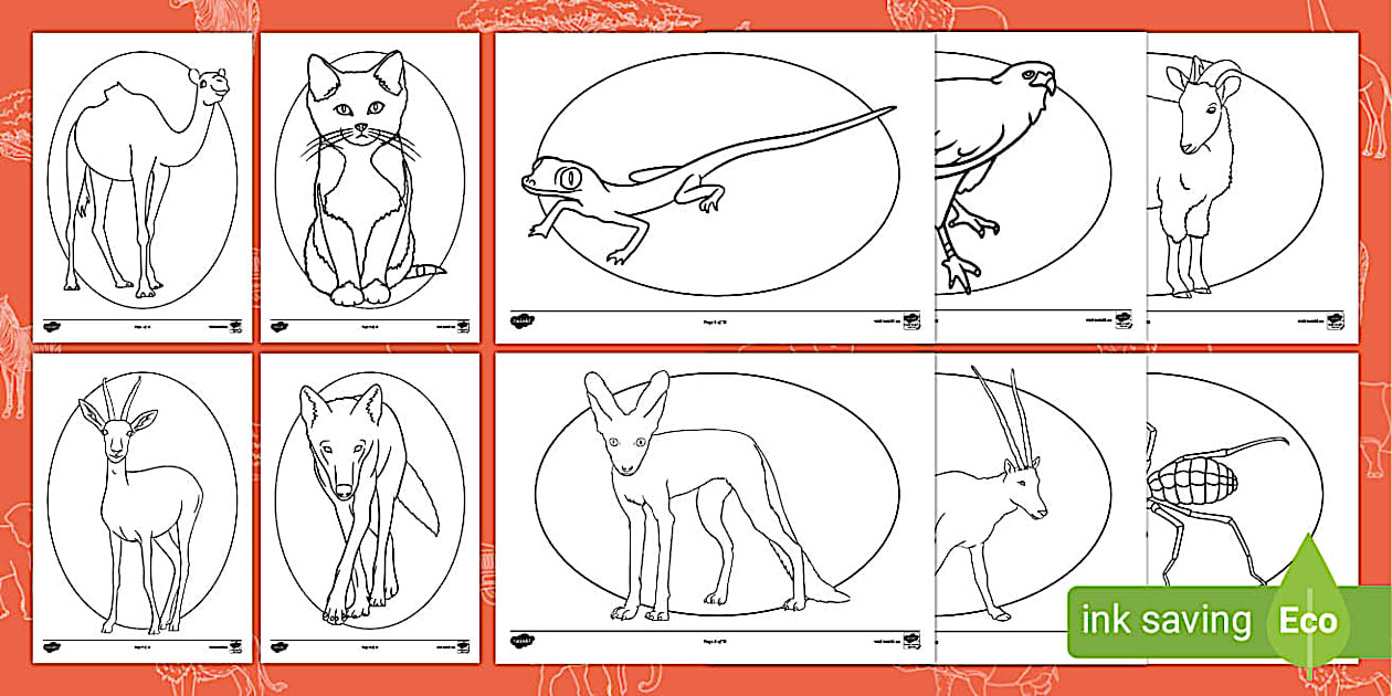 My First UAE Animals Colouring Pack (Teacher-Made) - Twinkl