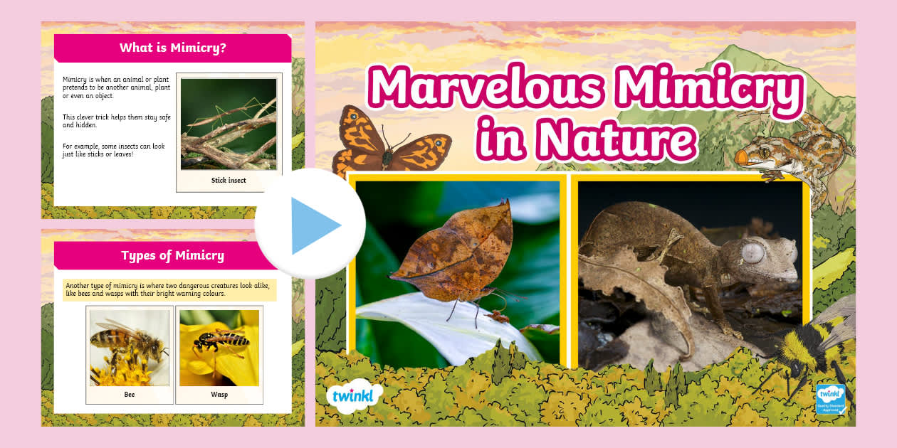 Marvelous Mimicry in Nature - Living Things | Twinkl
