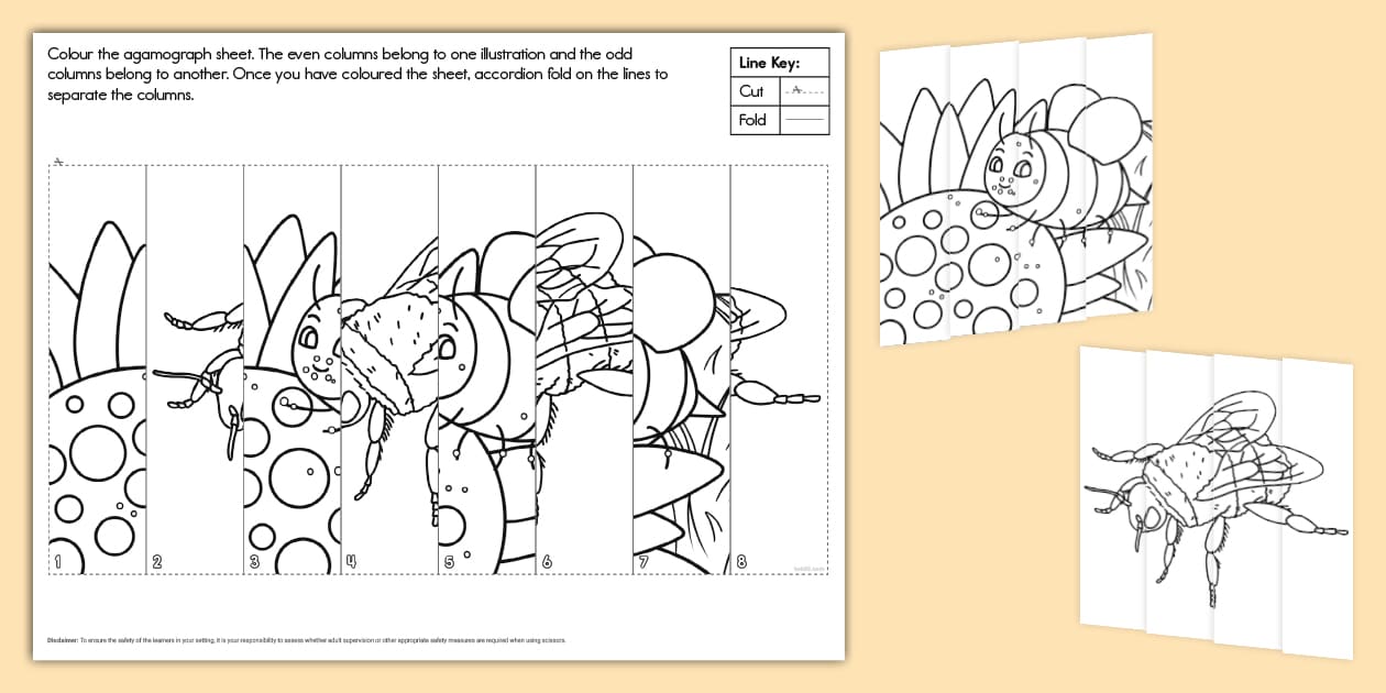 World Bee Day Agamograph (teacher made) - Twinkl