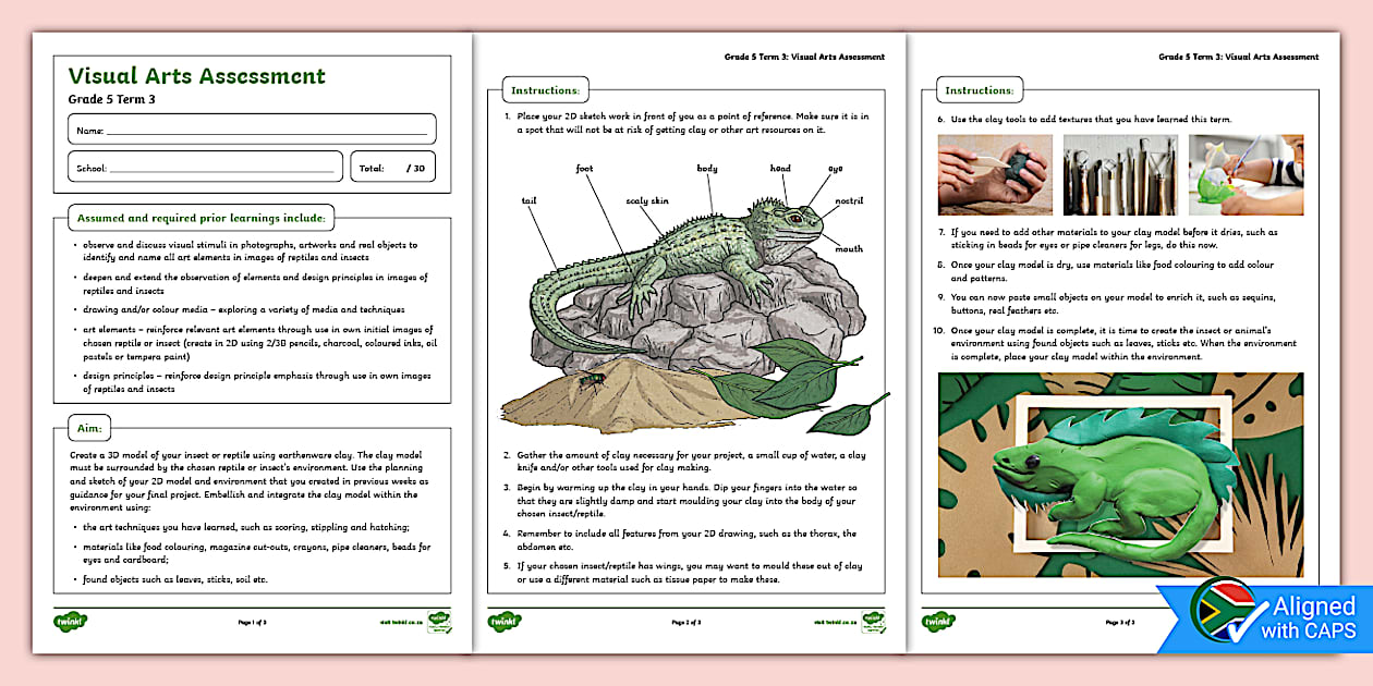 Grade 5 Creative Arts - Term 3 - Visual Arts Clay Assessment (CAPS Aligned)