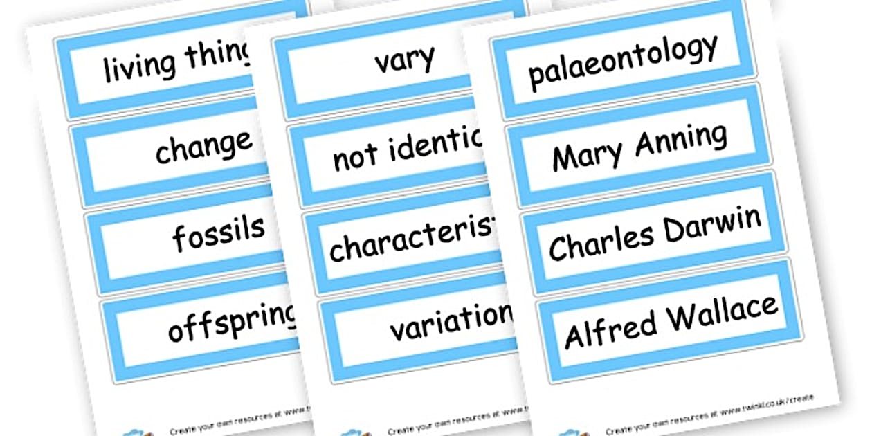 Evolution Words (teacher made) - Twinkl