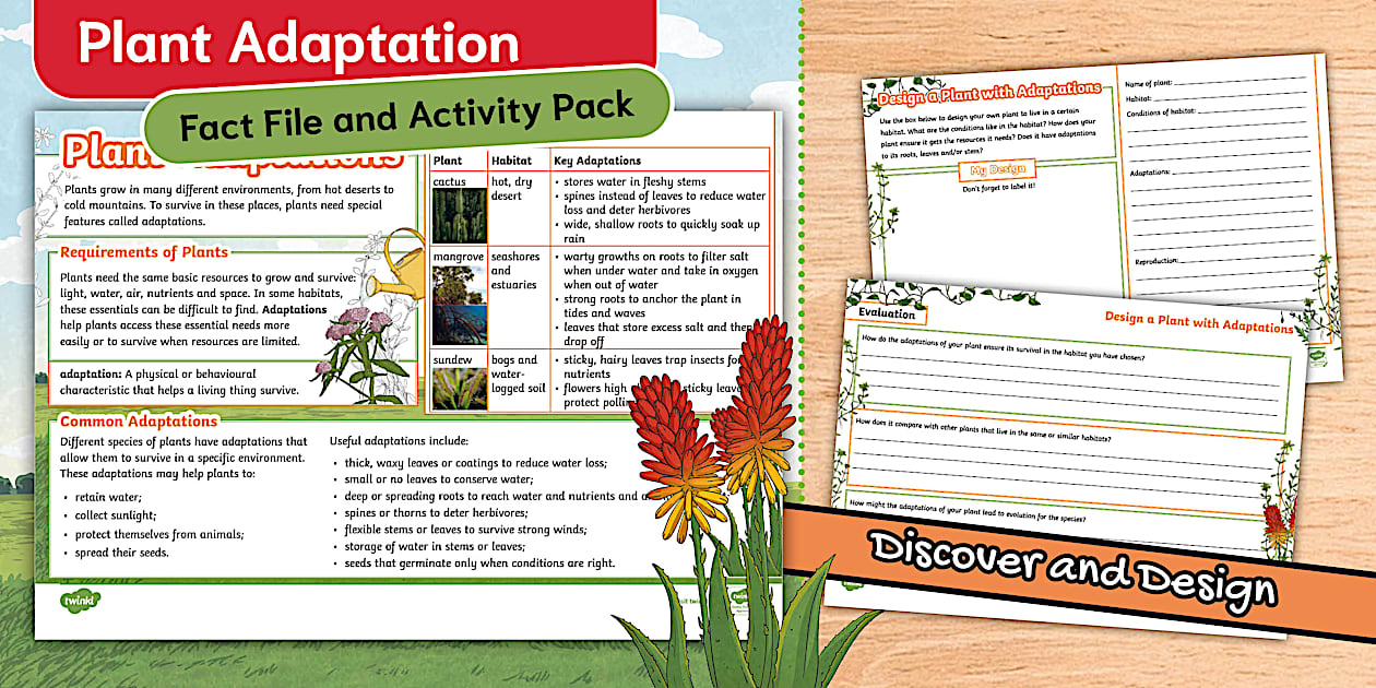 KS2 Plant Adaptation Fact File and Activity Pack - Twinkl