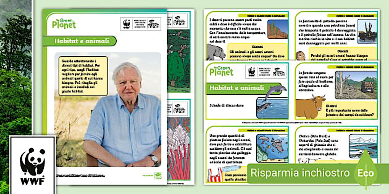 Schede WWF (l'enseignant a fait) - Twinkl