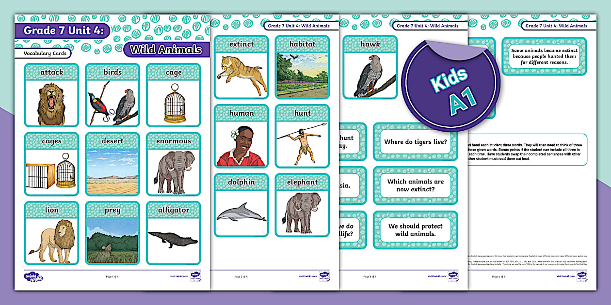 Turkey Curriculum English Vocabulary Cards: Grade 7 Unit 4 (Wild Animals)