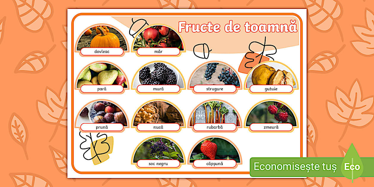 Fructe de toamnă – Planșă cu vocabular (Teacher-Made)