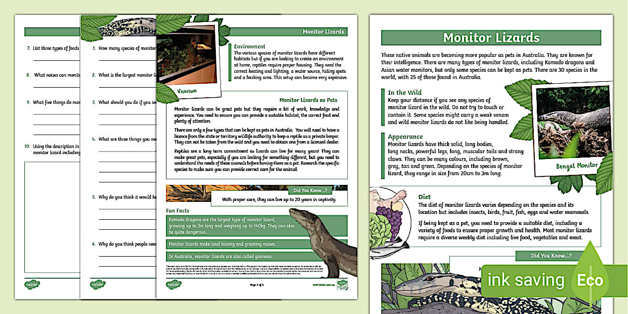 How To Care For Your Pet Monitor Lizard - Reading Comprehension Activity